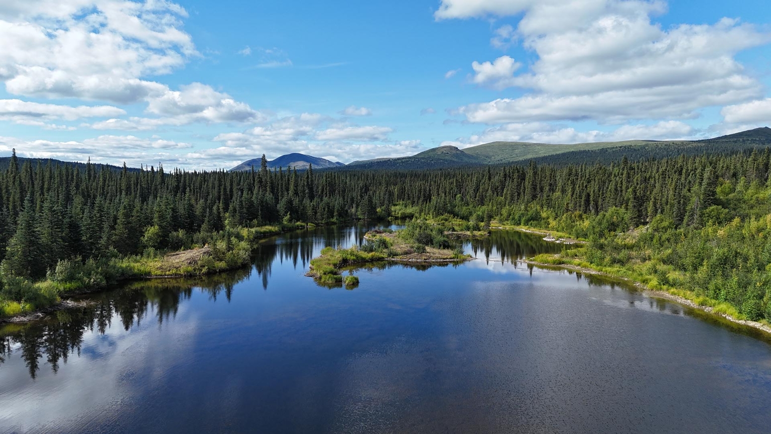 Moore Creek Gold Mine | Fay Ranches
