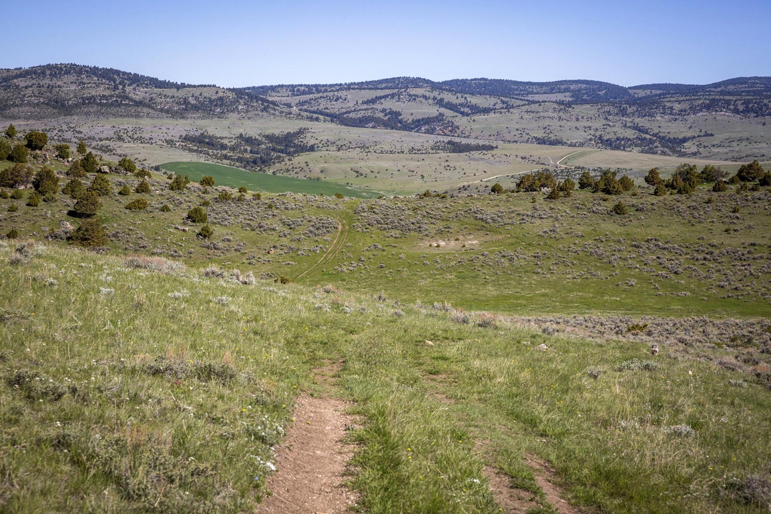 Horseshoe Foothills Ranch | Belgrade Montana | Fay Ranches
