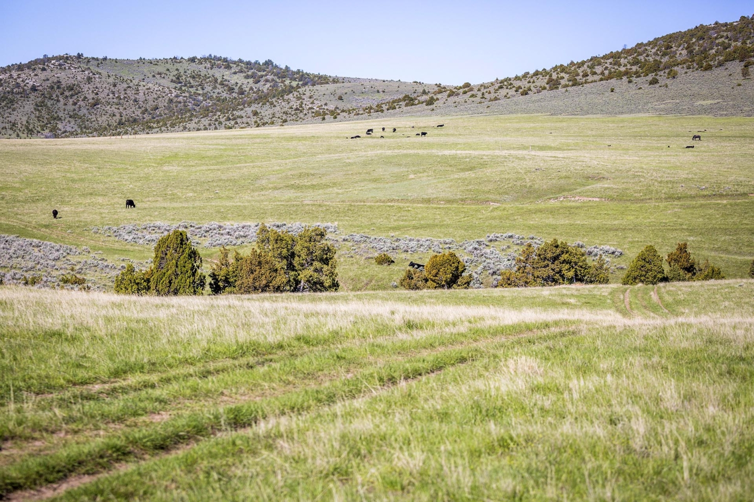 Horseshoe Foothills Ranch | Belgrade Montana | Fay Ranches