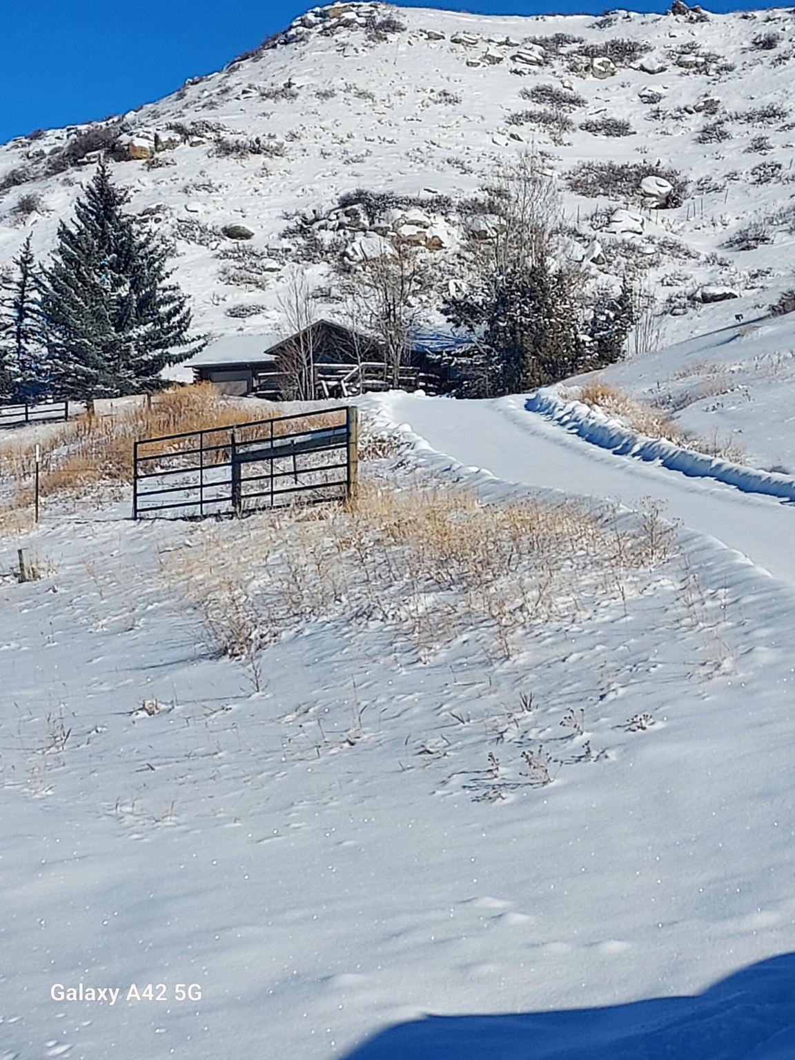 Red Lodge Creek Lookout | Red Lodge Montana | Fay Ranches