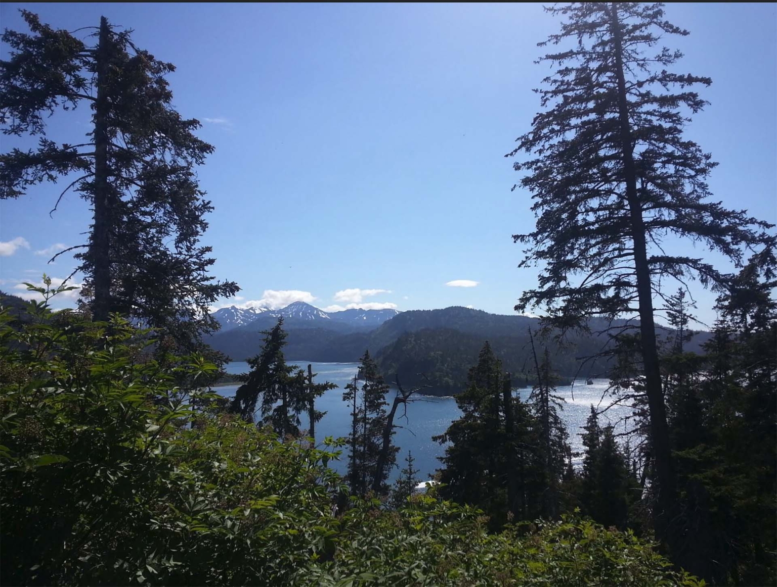 Halibut Cove | Halibut Cove Alaska | Fay Ranches