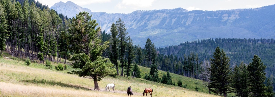 Fay Ranches | Brokering the Finest Ranches For Sale Coast to Coast