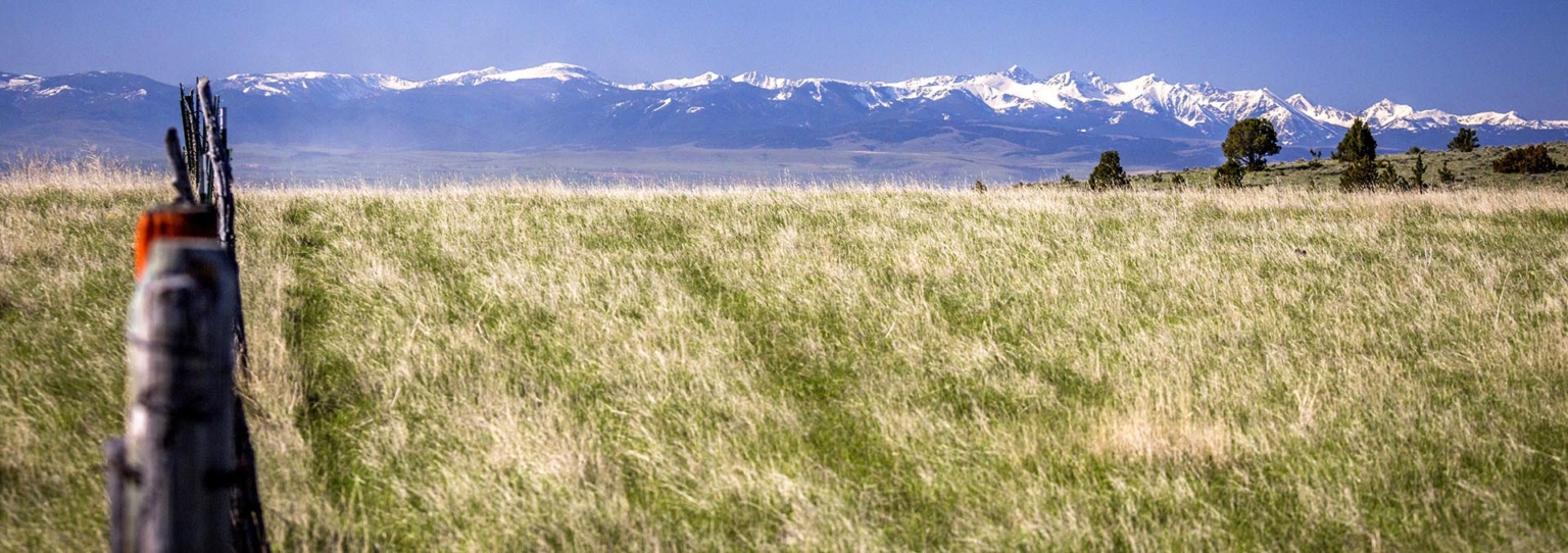 Horseshoe Foothills Ranch | Belgrade Montana | Fay Ranches