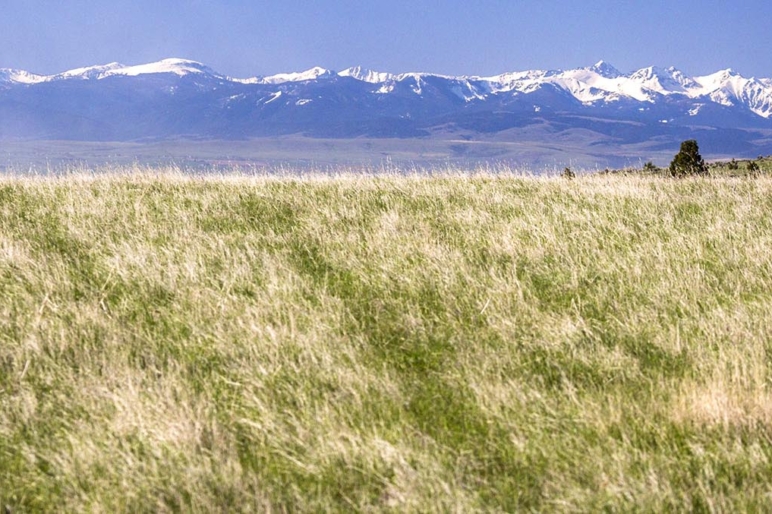 Montana Farm Land For Sale | Large Acreages | Fay Ranches