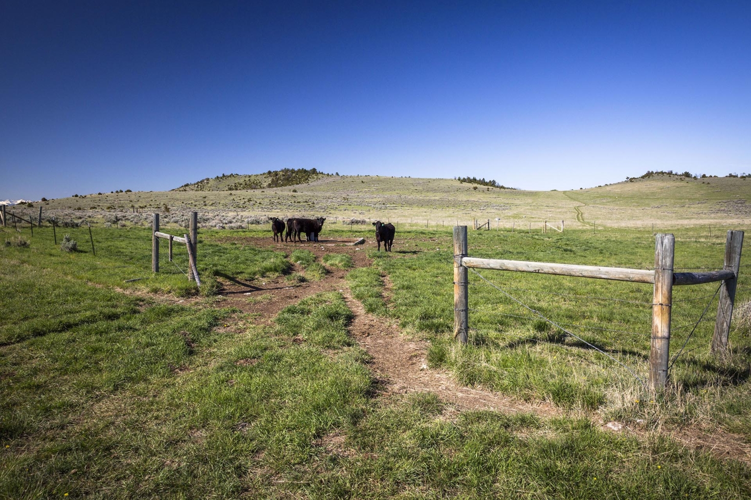 Horseshoe Foothills Ranch | Belgrade Montana | Fay Ranches