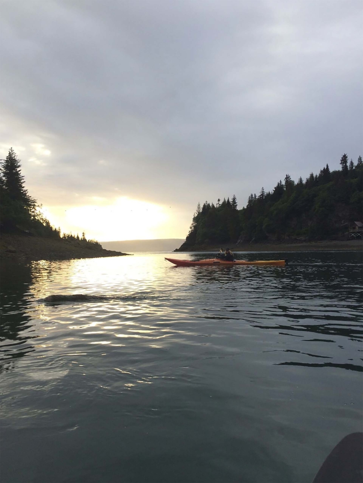 Halibut Cove | Halibut Cove Alaska | Fay Ranches