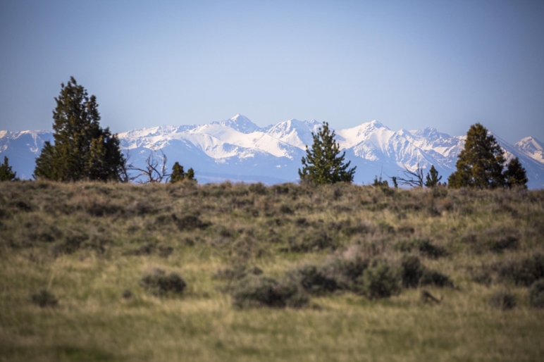 Horseshoe Foothills Ranch | Belgrade Montana | Fay Ranches