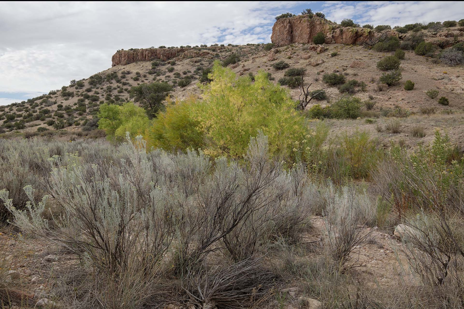 Pitchfork Ranch | Silver City New Mexico | Fay Ranches
