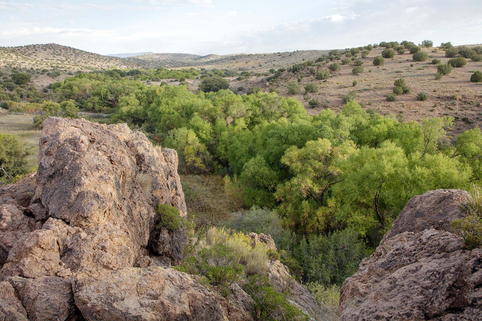Pitchfork Ranch | Silver City New Mexico | Fay Ranches
