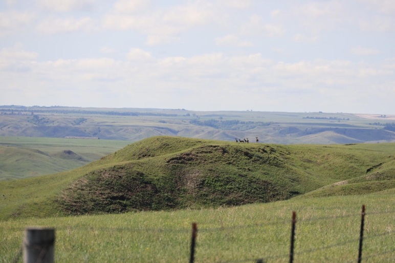 Cheyenne River Ranch | Rapid City South Dakota | Fay Ranches