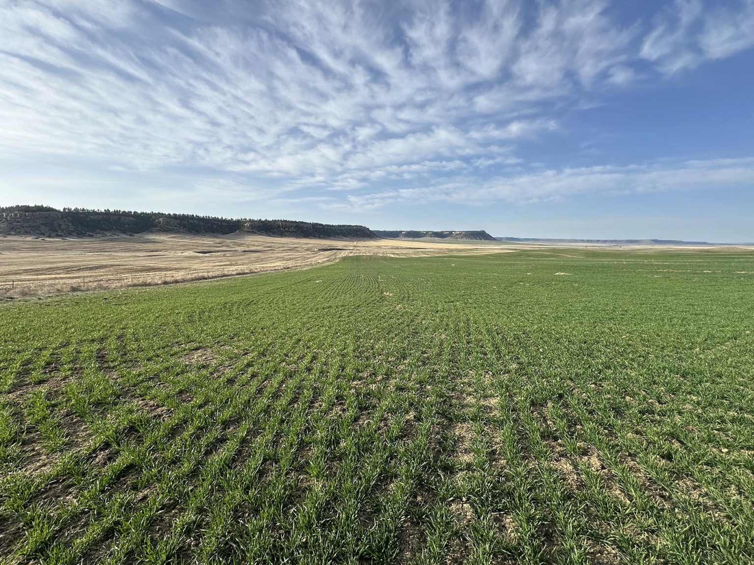 Pine Butte Ranch | Ryegate Montana | Fay Ranches
