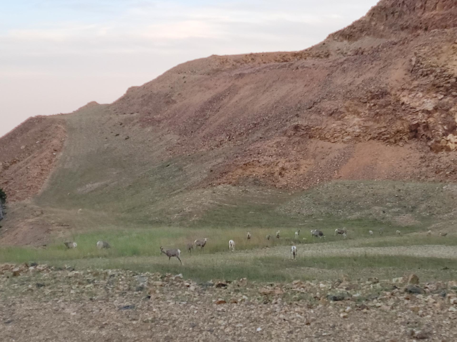 Zortman Landusky Gold Resource Property | Fay Ranches