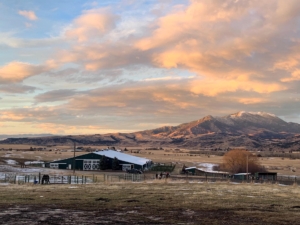 Silver Brand Ranch | Bozeman Montana | Fay Ranches