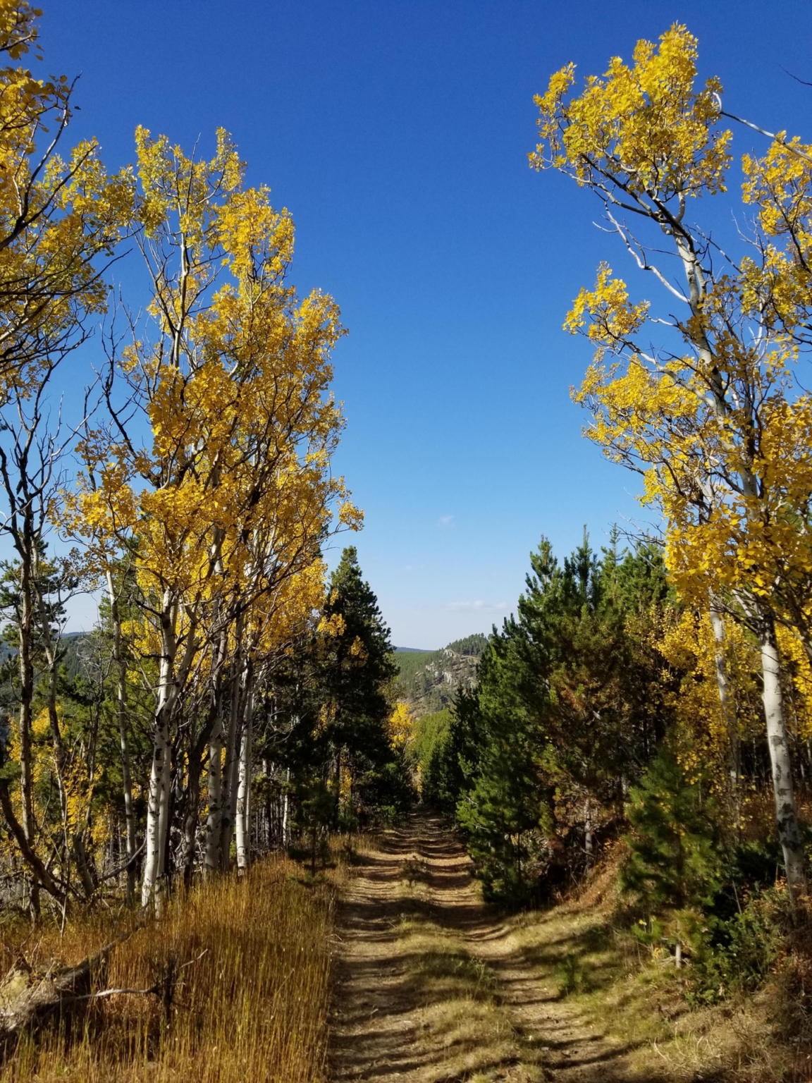 Zortman Landusky Gold Resource Property | Fay Ranches