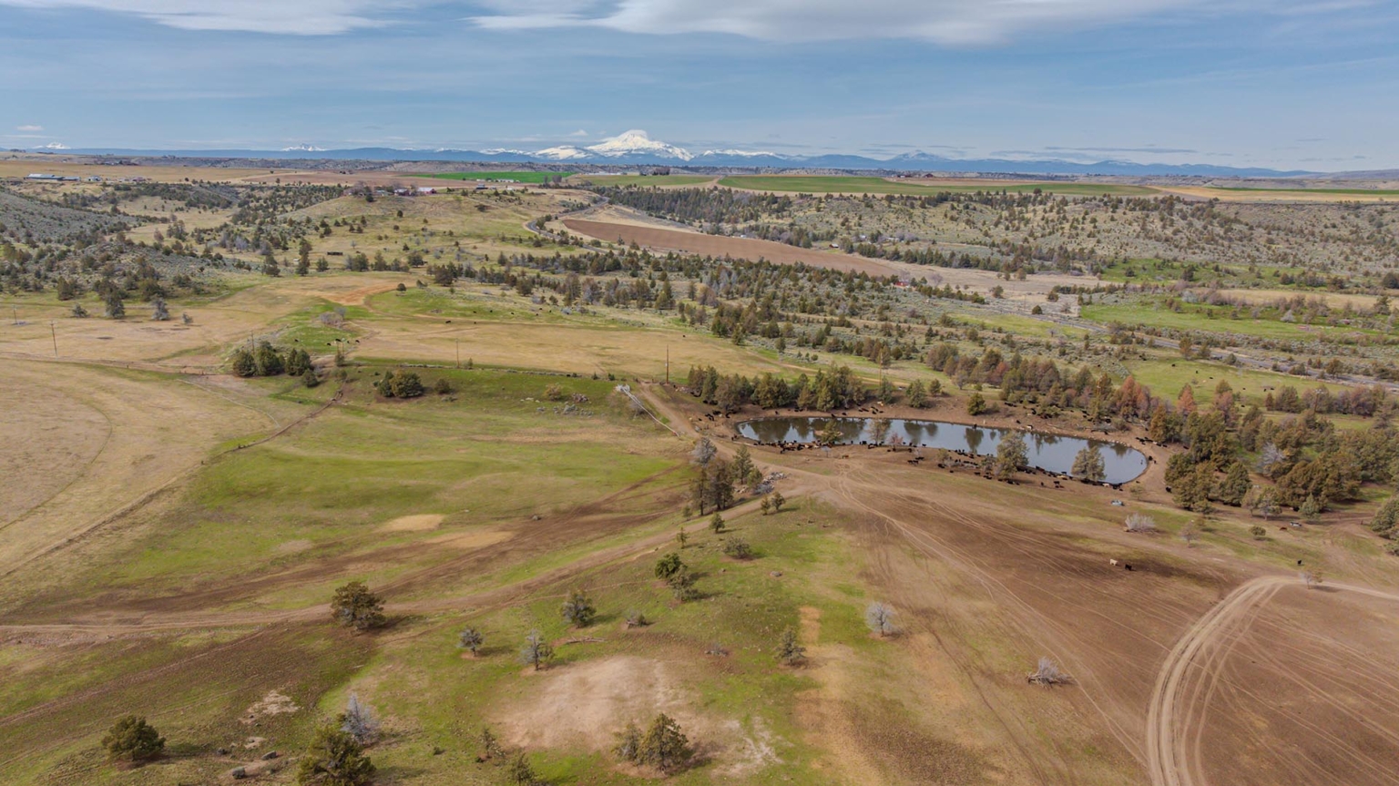 Fessler Hay & Cattle Ranch | Madras Oregon | Fay Ranches