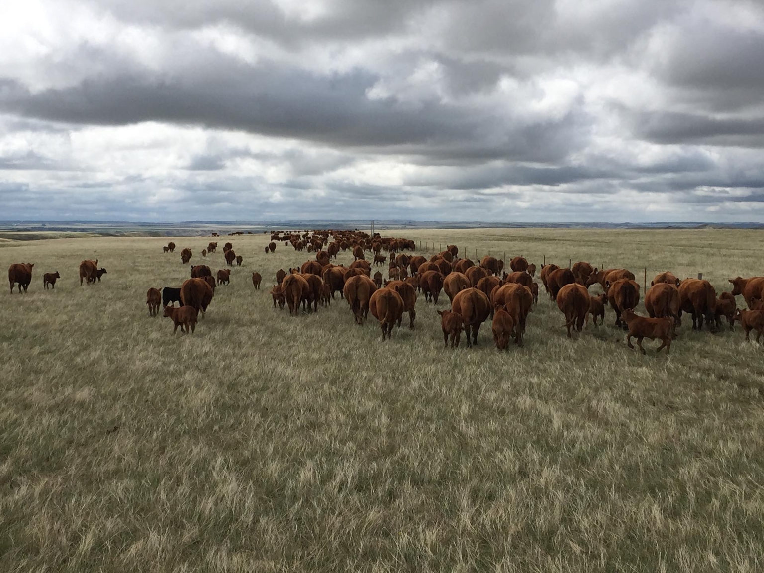 Cheyenne River Ranch | Rapid City South Dakota | Fay Ranches