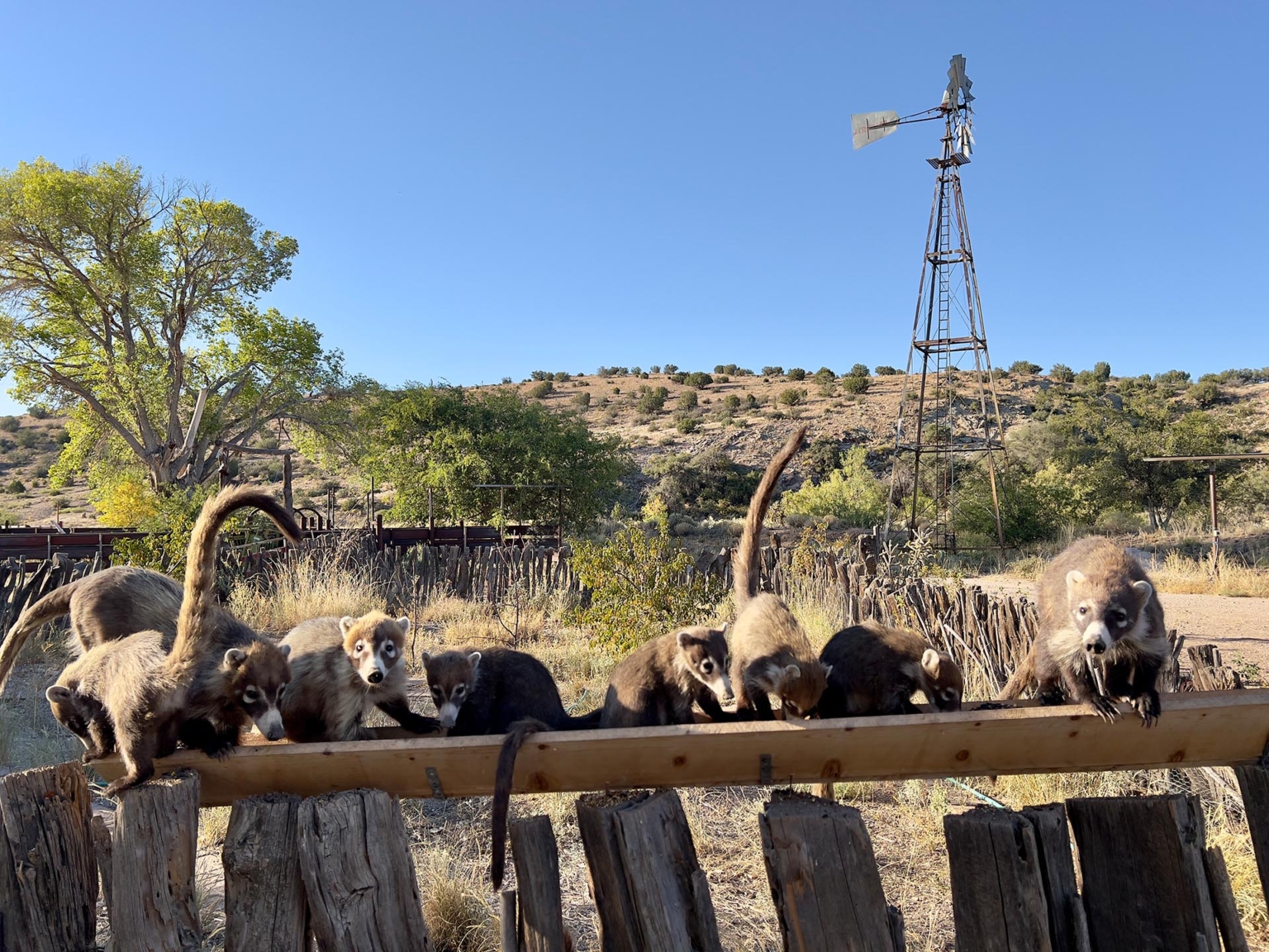 Pitchfork Ranch | Silver City New Mexico | Fay Ranches