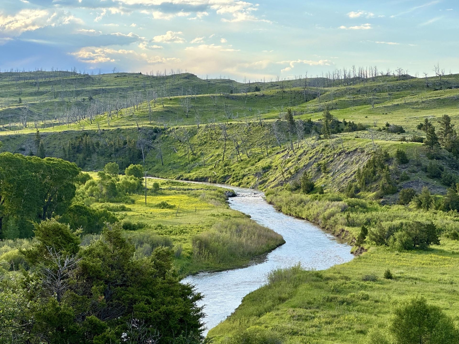 Sweet Grass Overlook | Sweet Grass Overlook | Fay Ranches