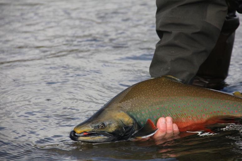 Painter Creek Lodge | Pilot Point Alaska | Fay Ranches