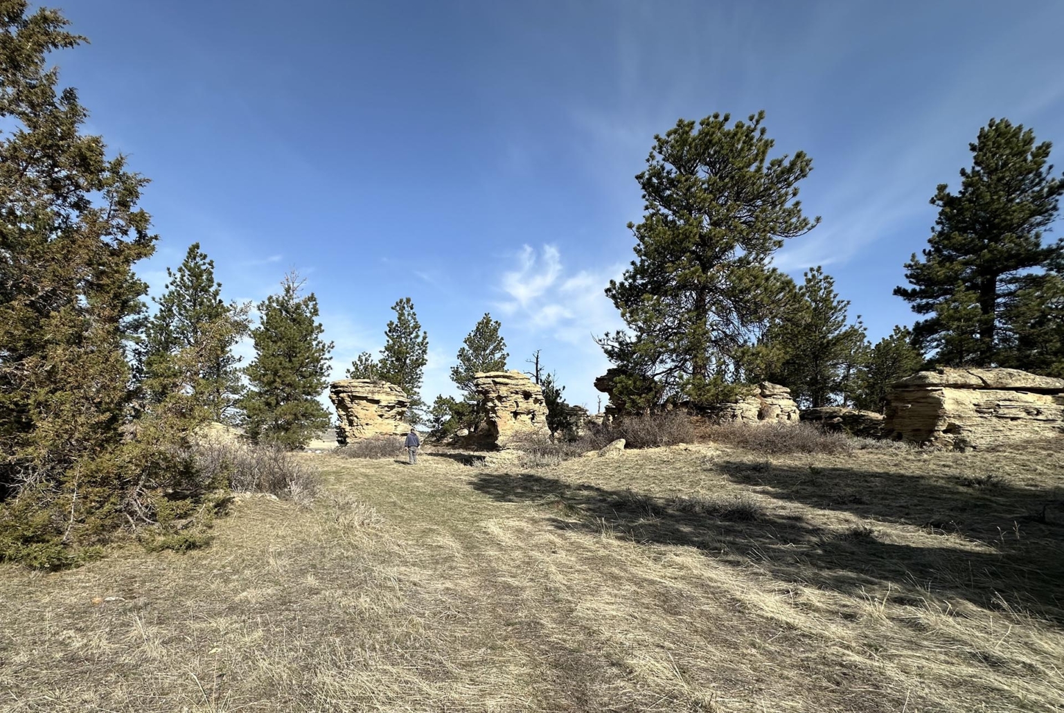 Pine Butte Ranch | Ryegate Montana | Fay Ranches