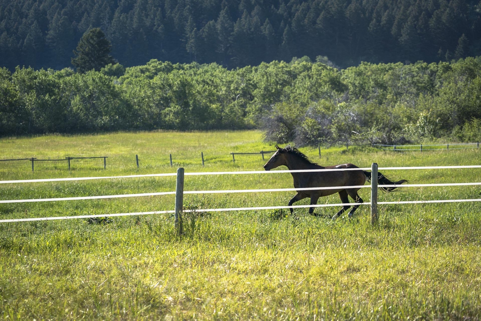 Silver Brand Ranch | Bozeman Montana | Fay Ranches