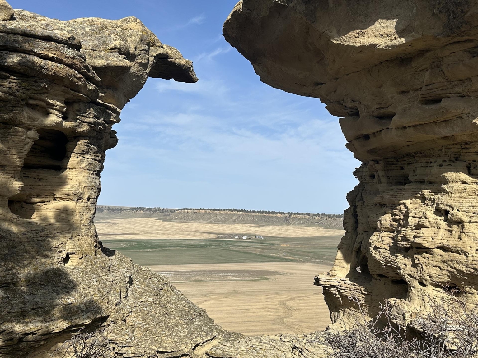 Pine Butte Ranch | Ryegate Montana | Fay Ranches