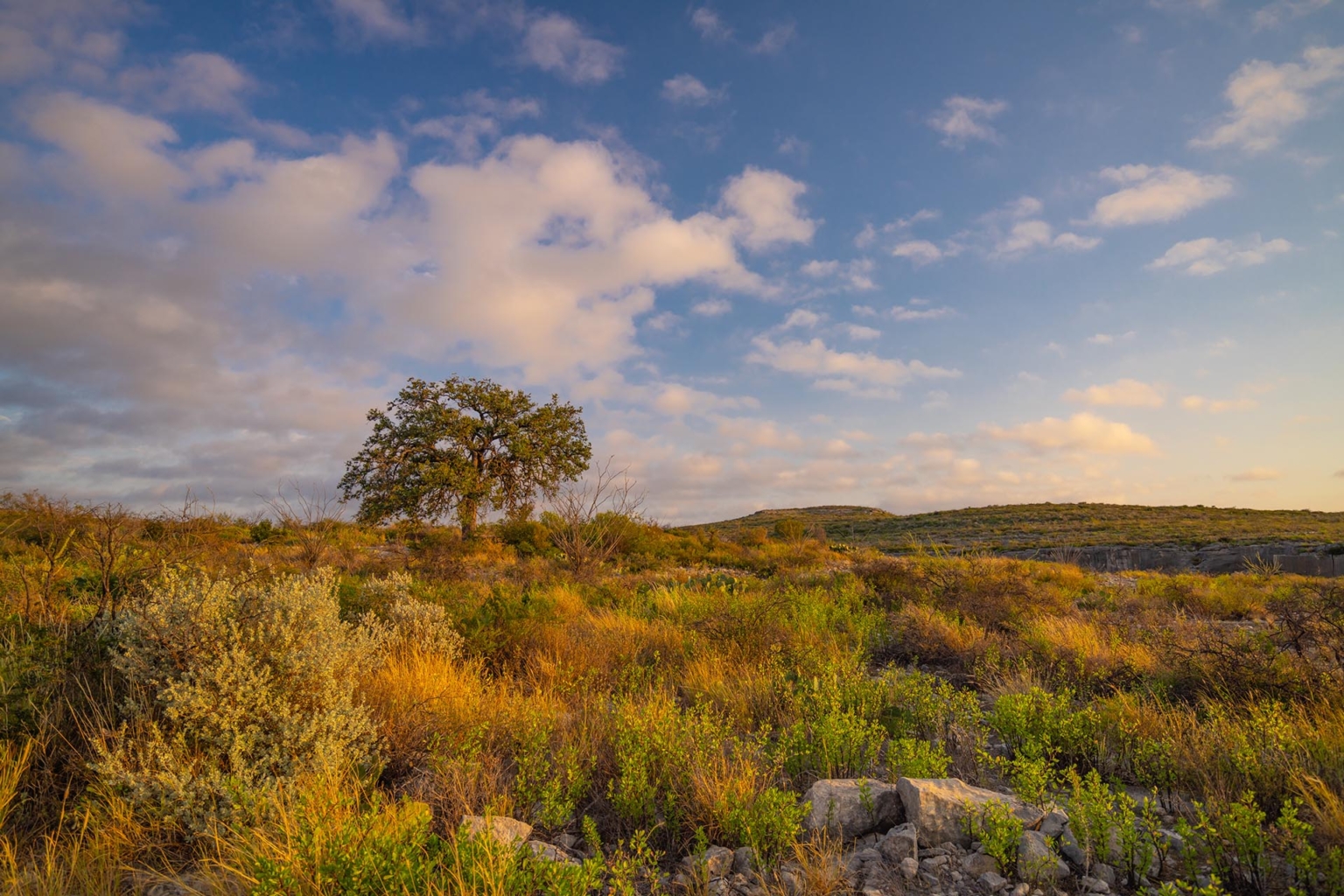 Silver S Ranch | Langtry Texas | Fay Ranches