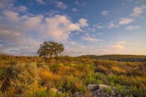 Silver S Ranch | Langtry Texas | Fay Ranches