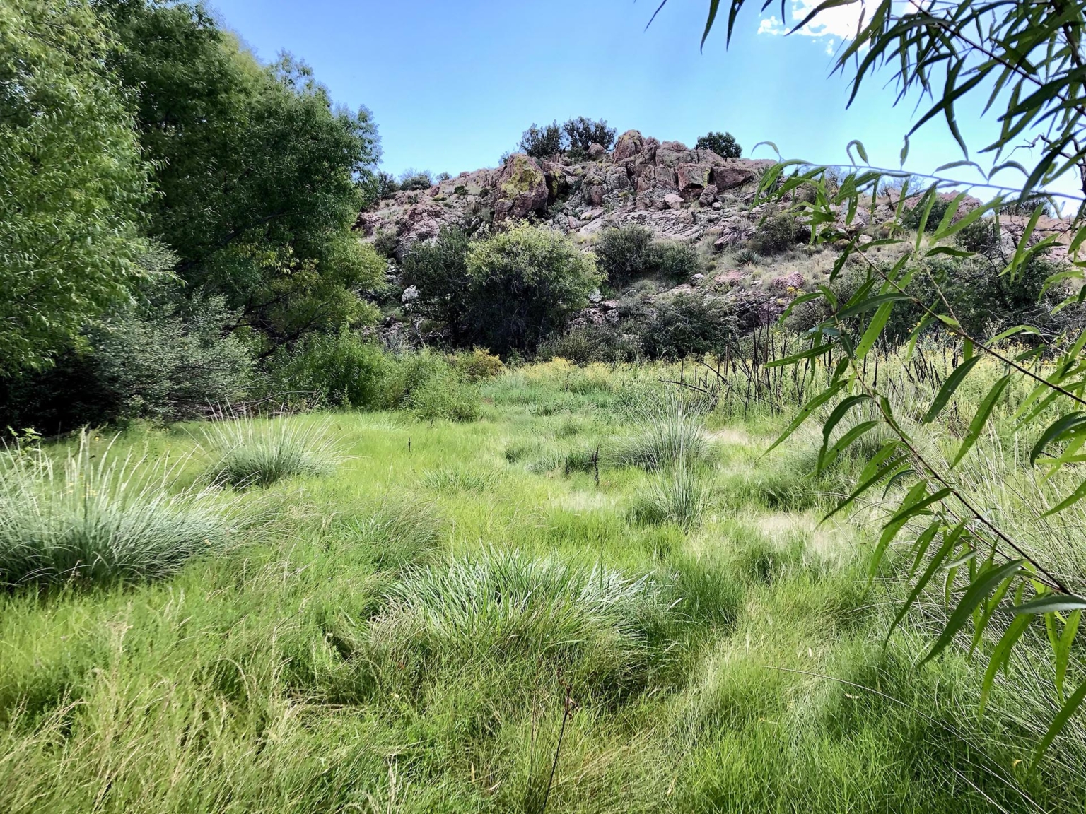 Pitchfork Ranch | Silver City New Mexico | Fay Ranches
