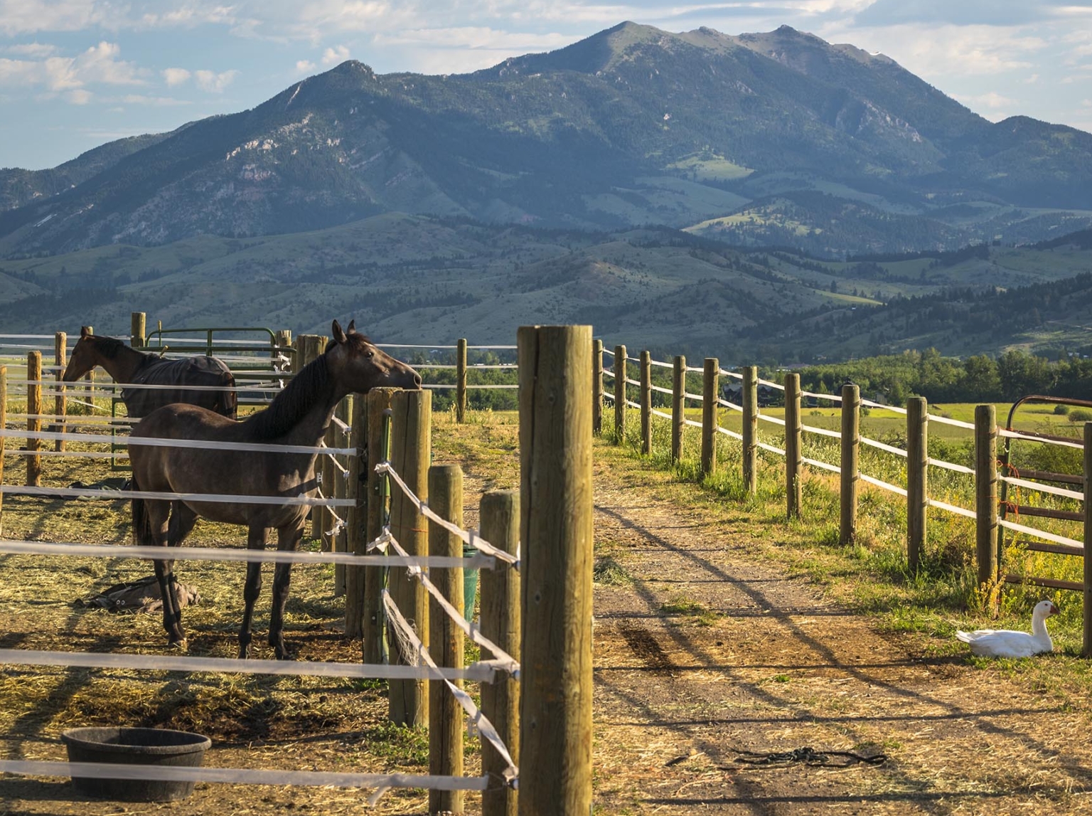 Silver Brand Ranch | Bozeman Montana | Fay Ranches