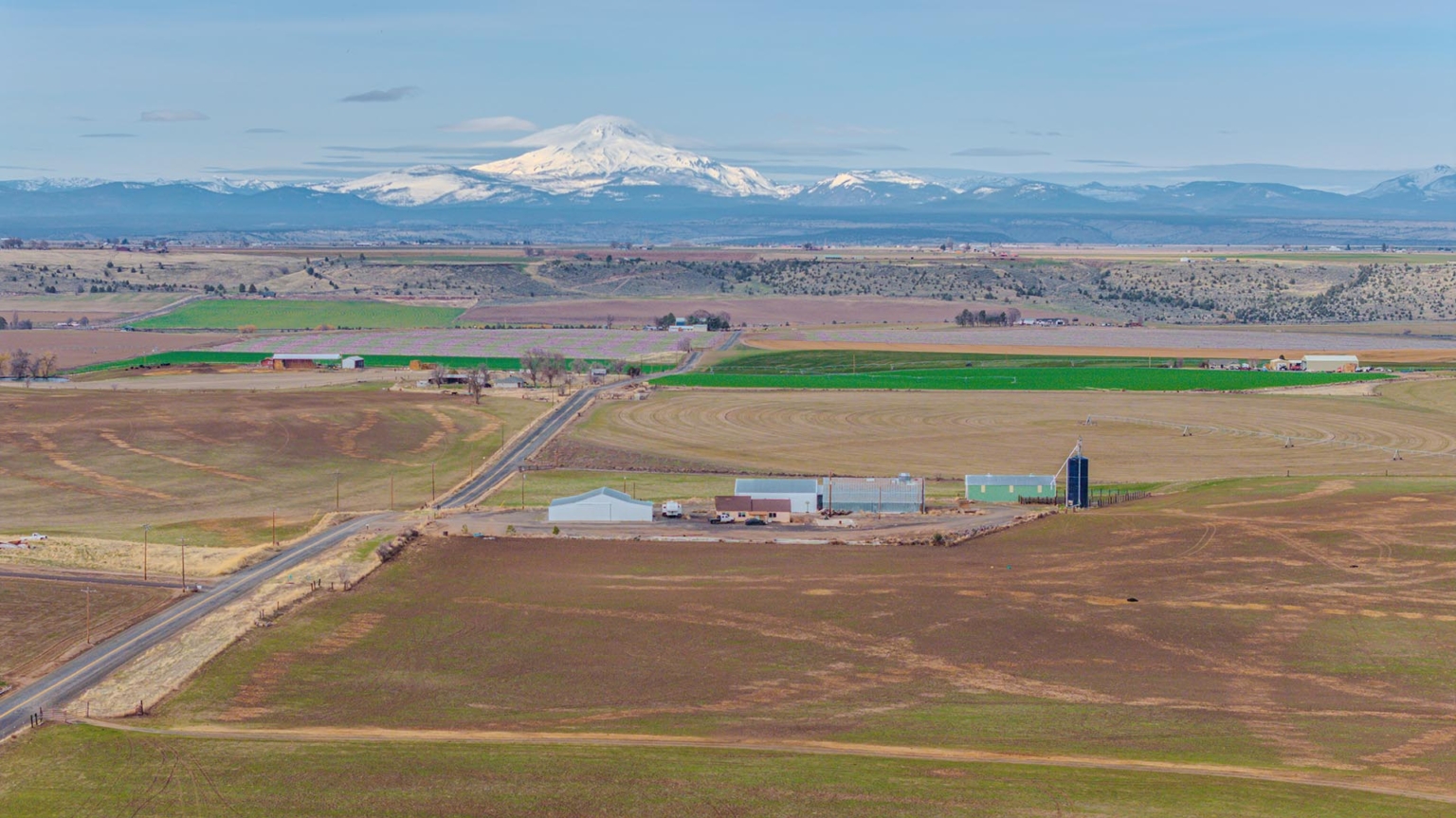 Fessler Hay & Cattle Ranch | Madras Oregon | Fay Ranches