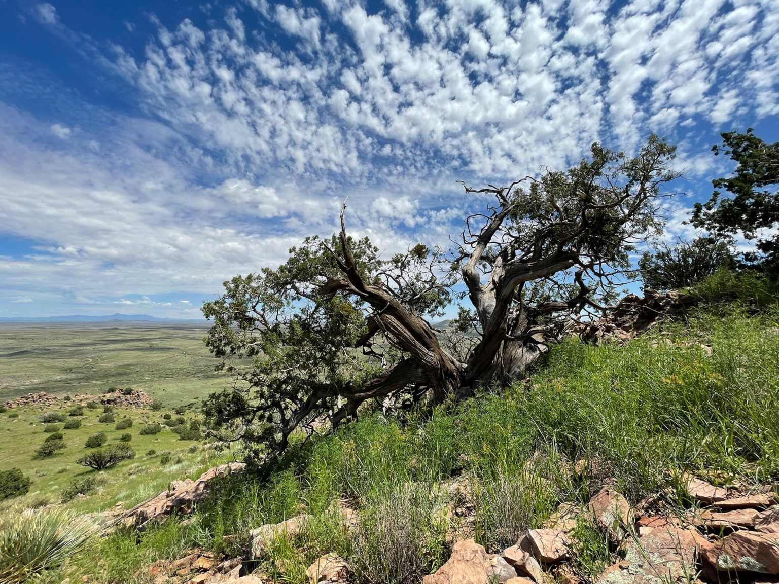 Pitchfork Ranch | Silver City New Mexico | Fay Ranches