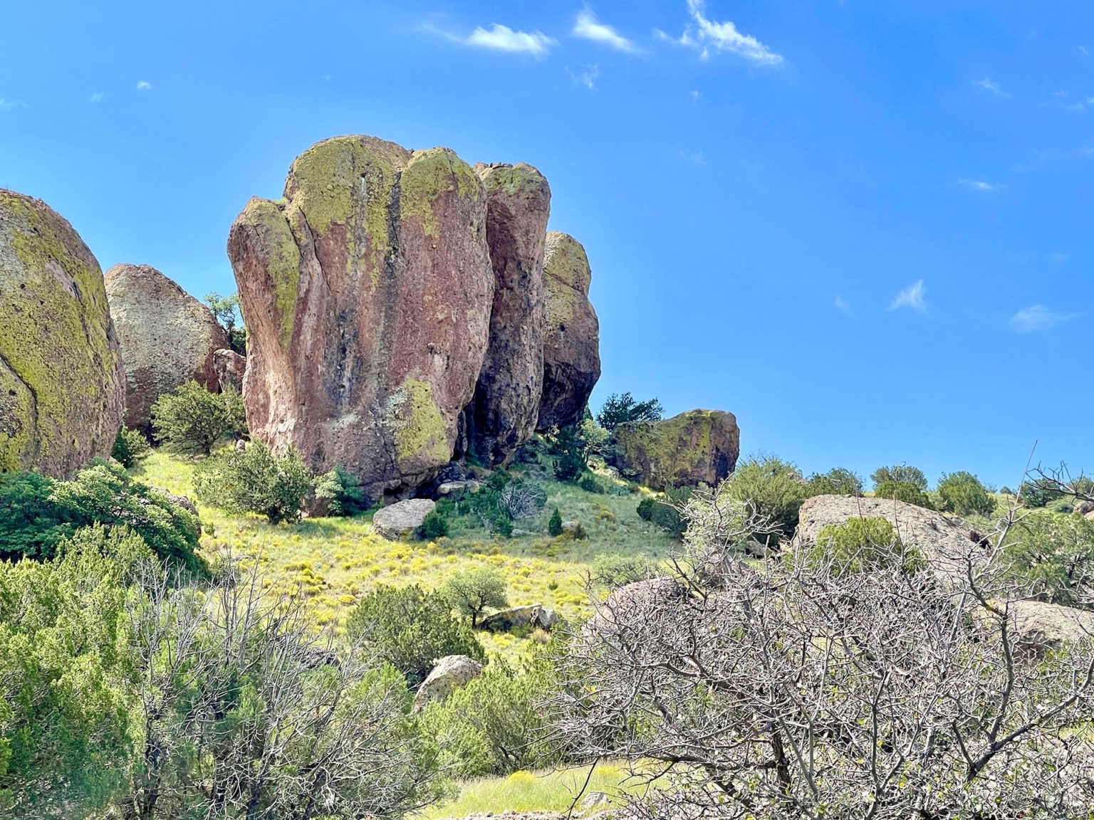 Pitchfork Ranch | Silver City New Mexico | Fay Ranches
