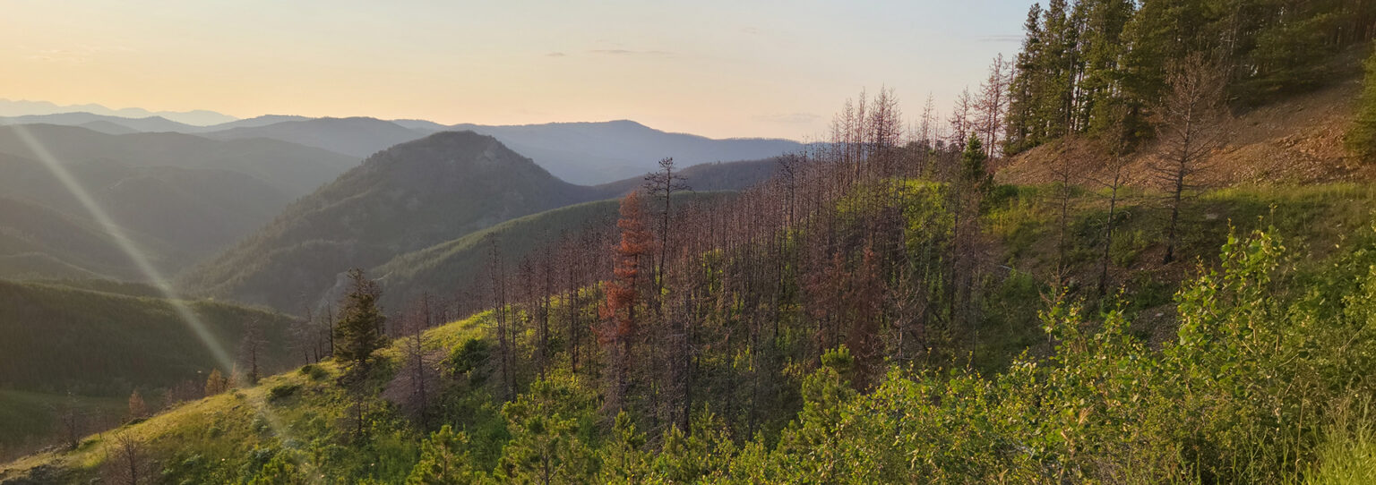 Zortman Landusky Gold Resource Property | Fay Ranches