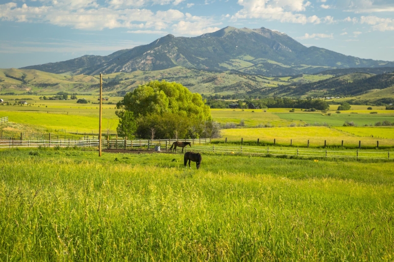 Silver Brand Ranch | Bozeman Montana | Fay Ranches