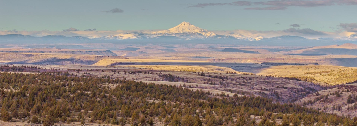 Criterion Ranch | Madras Oregon | Fay Ranches