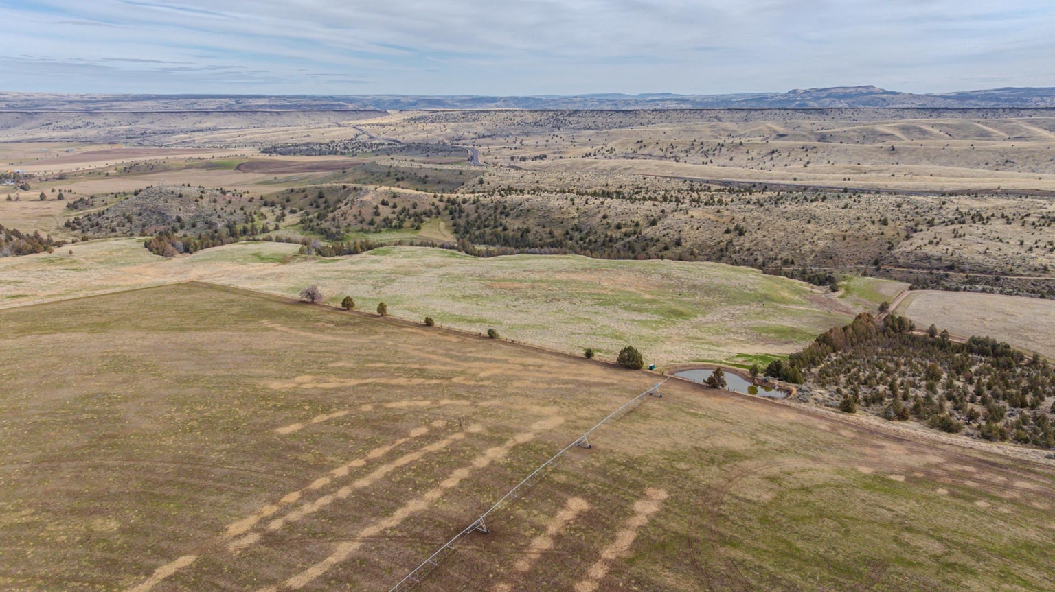 Fessler Hay & Cattle Ranch | Madras Oregon | Fay Ranches