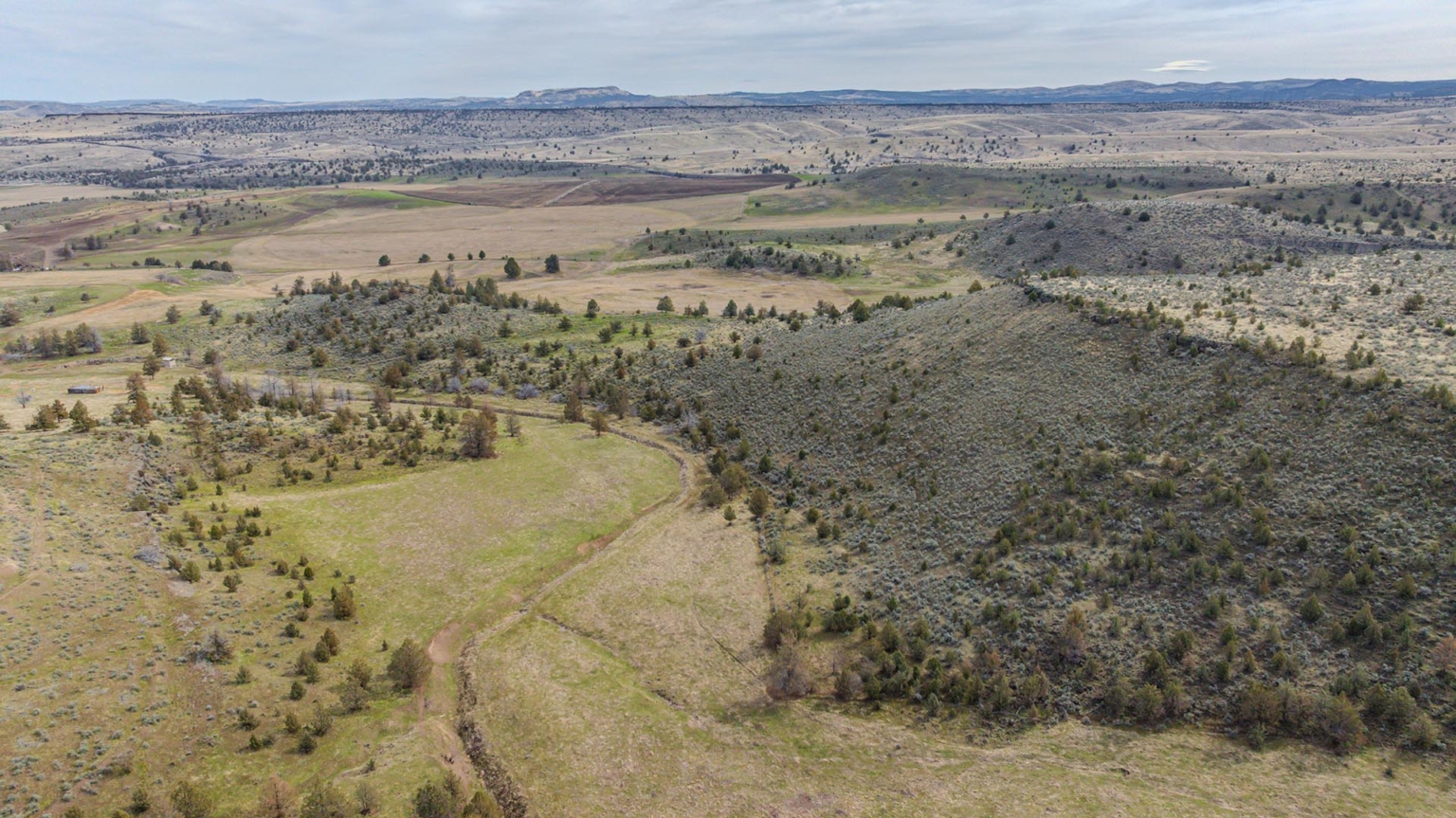 Fessler Hay & Cattle Ranch | Madras Oregon | Fay Ranches