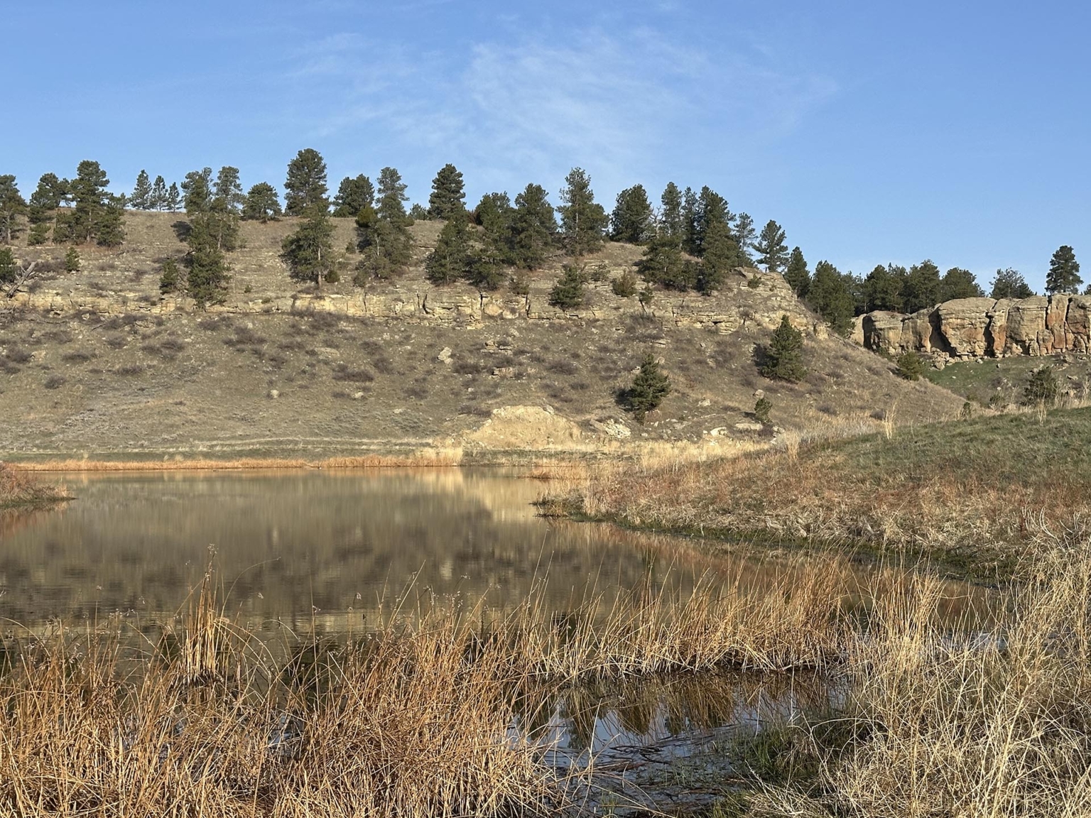 Pine Butte Ranch | Ryegate Montana | Fay Ranches