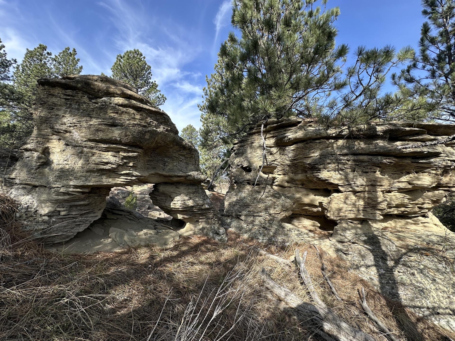 Pine Butte Ranch | Ryegate Montana | Fay Ranches
