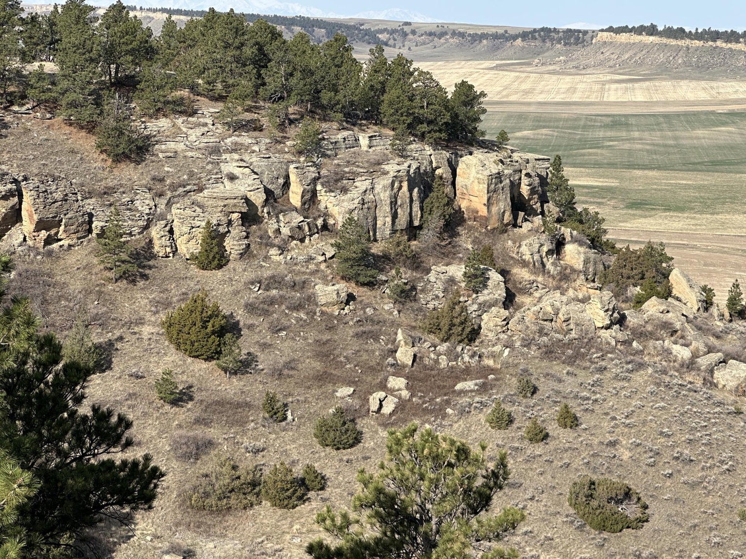 Pine Butte Ranch | Ryegate Montana | Fay Ranches