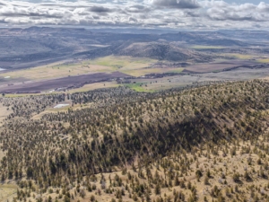 Criterion Ranch | Madras Oregon | Fay Ranches