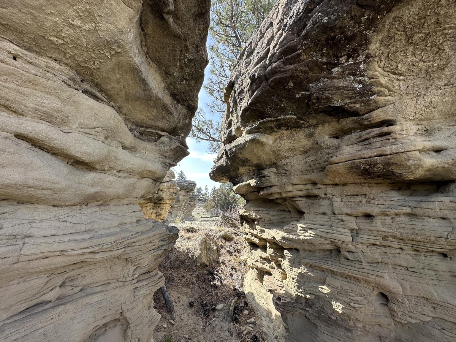 Pine Butte Ranch | Ryegate Montana | Fay Ranches