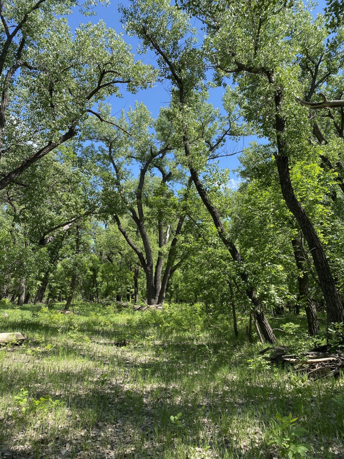 Cheyenne River Ranch | Rapid City South Dakota | Fay Ranches