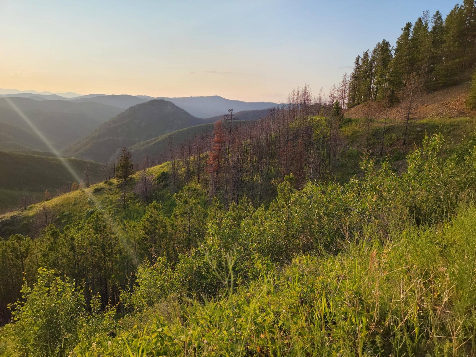 Zortman Landusky Gold Resource Property | Fay Ranches