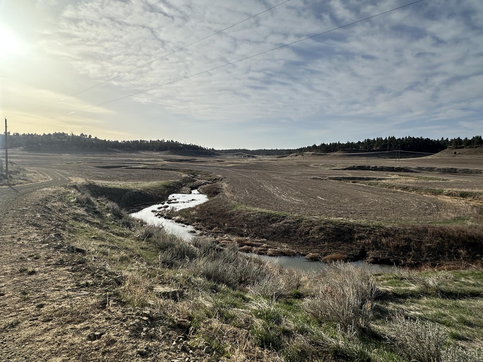 Pine Butte Ranch | Ryegate Montana | Fay Ranches