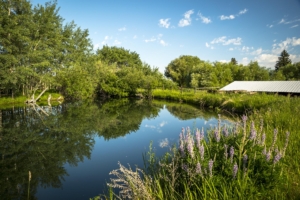 Silver Brand Ranch | Bozeman Montana | Fay Ranches