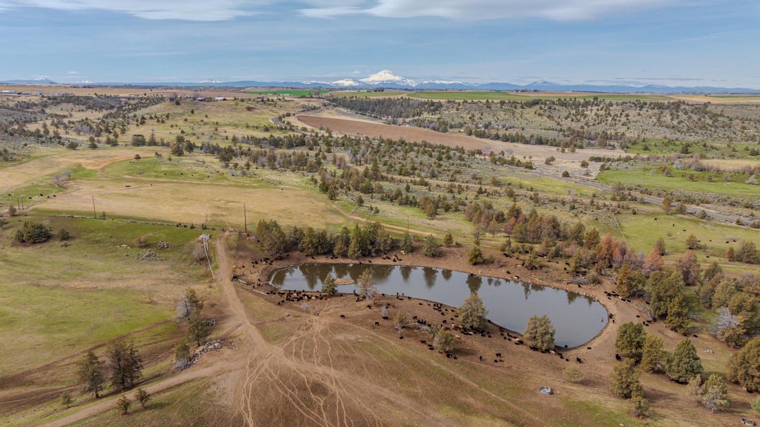 Fessler Hay & Cattle Ranch | Madras Oregon | Fay Ranches