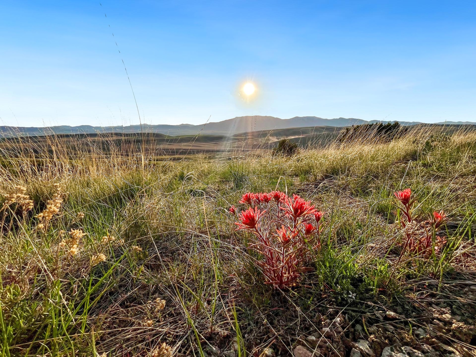 Jenkins Canyon Ranch | Lava Hot Springs Idaho | Fay Ranches