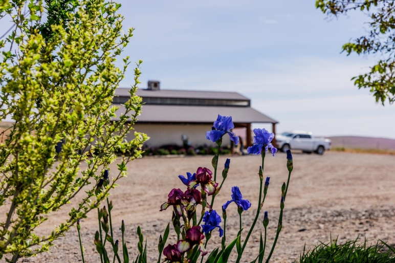 Running Spur Ranch | Vale Oregon | Fay Ranches